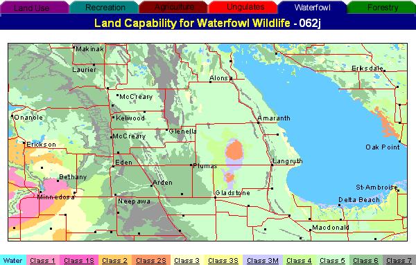 EcoInformatics International