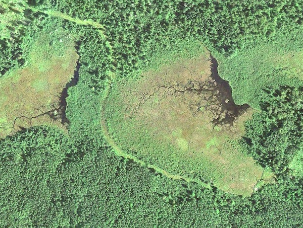 Worlds Largest Beaver Dam From Space Beavers: How Nature's Engineers